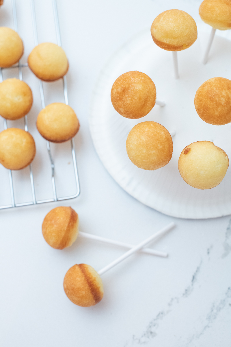 Passover Chocolate Covered Vanilla Cake Pops - Happy Pesach! - Rolled ...
