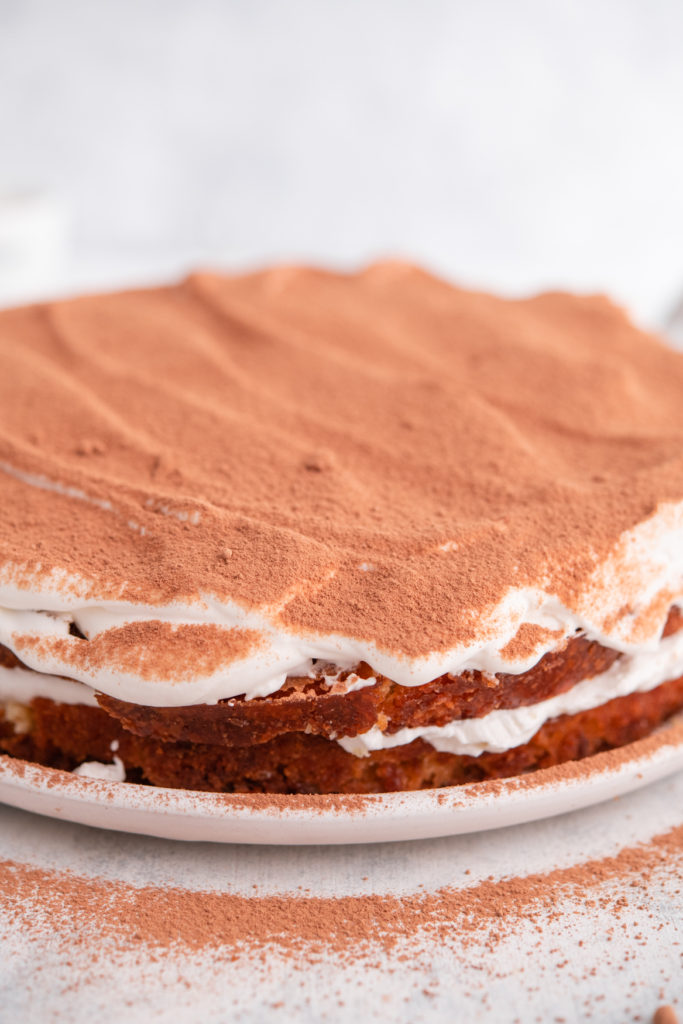 Passover Tiramisu Cake - dairy or parve - Rolled in Dough